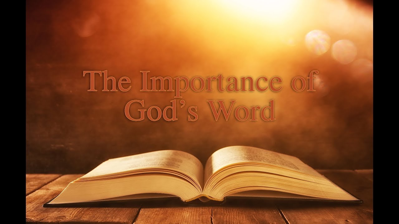 The Importance Of Gods Word Gary Lamb Media Ministries